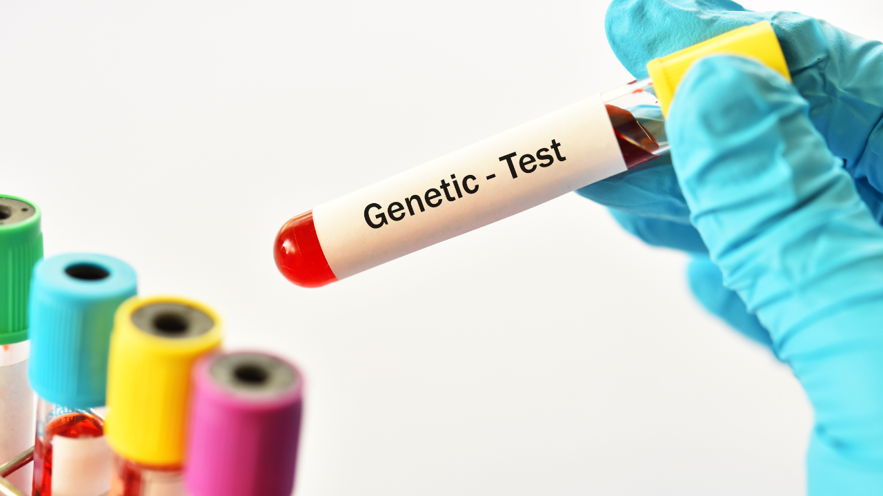 Genes vs. Genetic Expression: Understanding the Key Differences